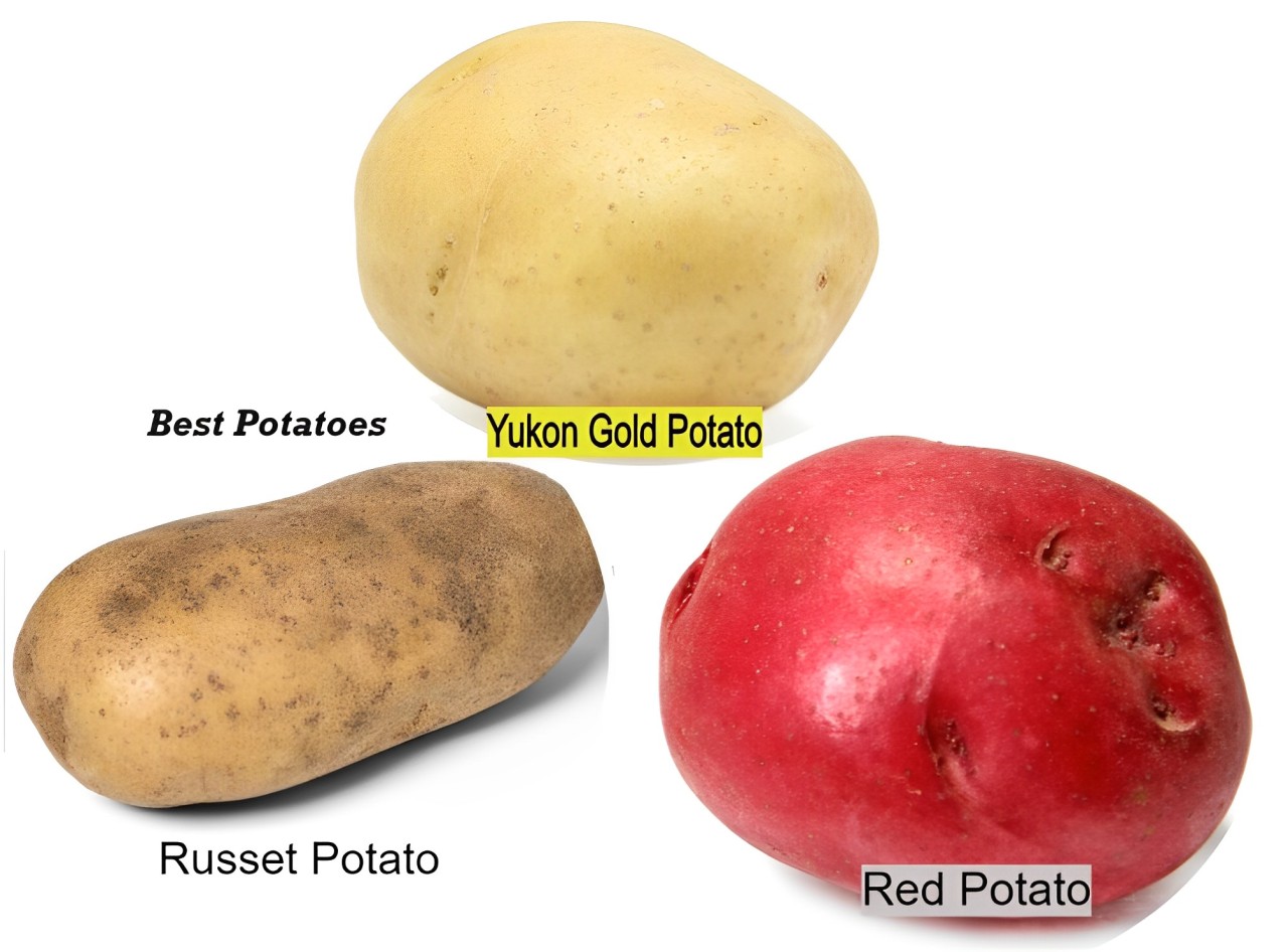 Russet vs. Red vs. Yukon Gold Potatoes: Which one is the Best?