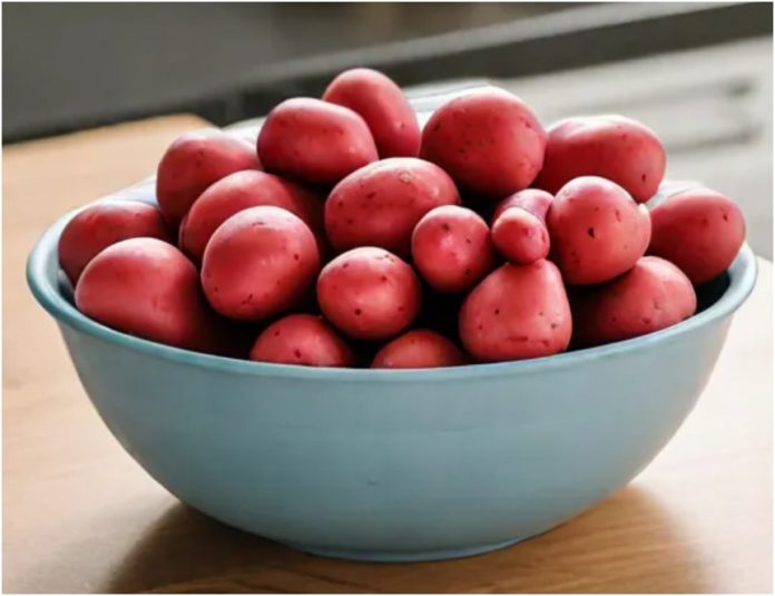 Russet vs. Red vs. Yukon Gold Potatoes: Which one is the Best?