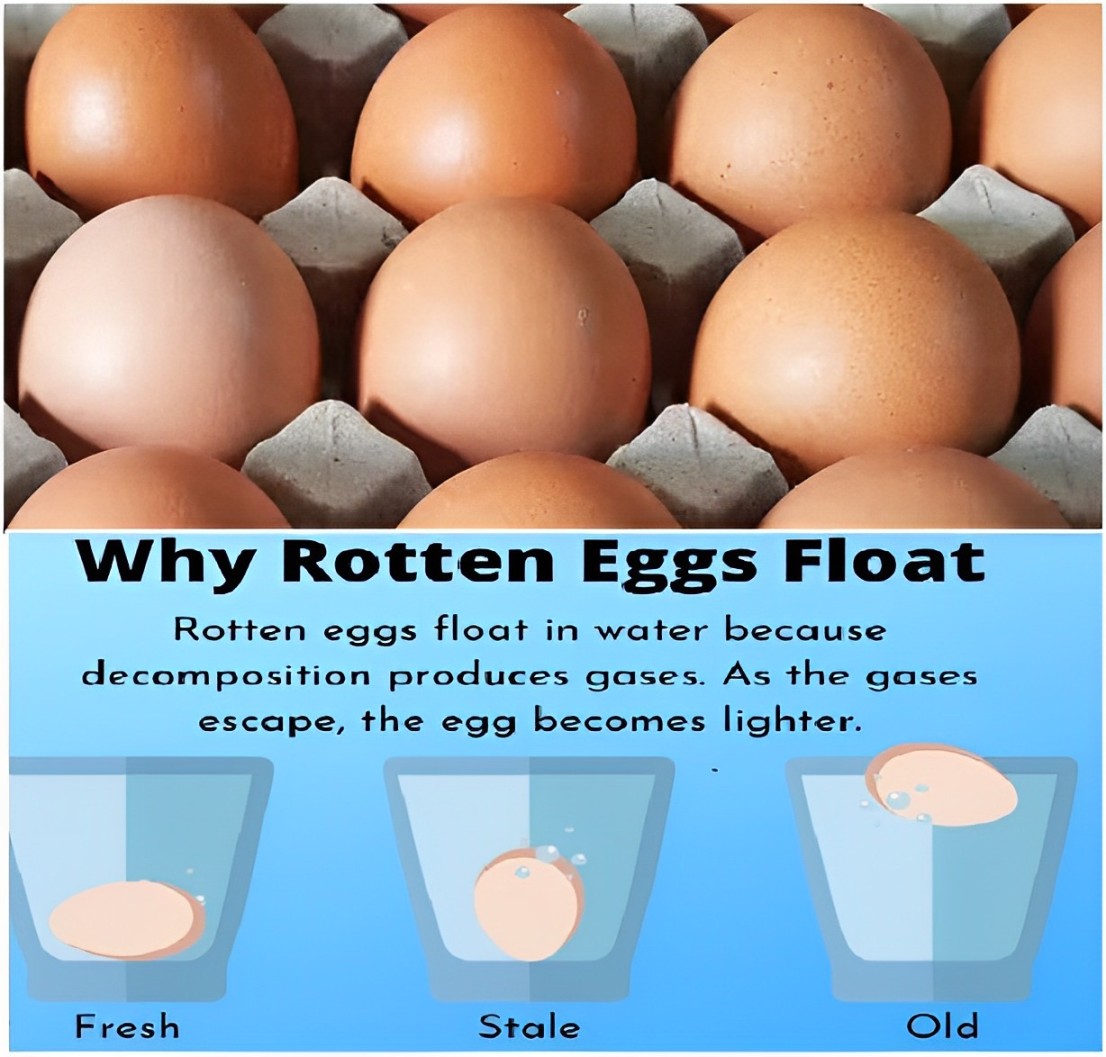 How to identify bad eggs at home? What if i ate spoiled eggs?
