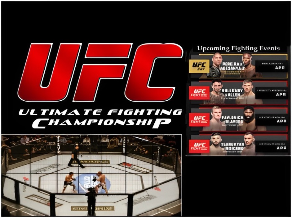 The History of Ultimate Fighting Championship (UFC)