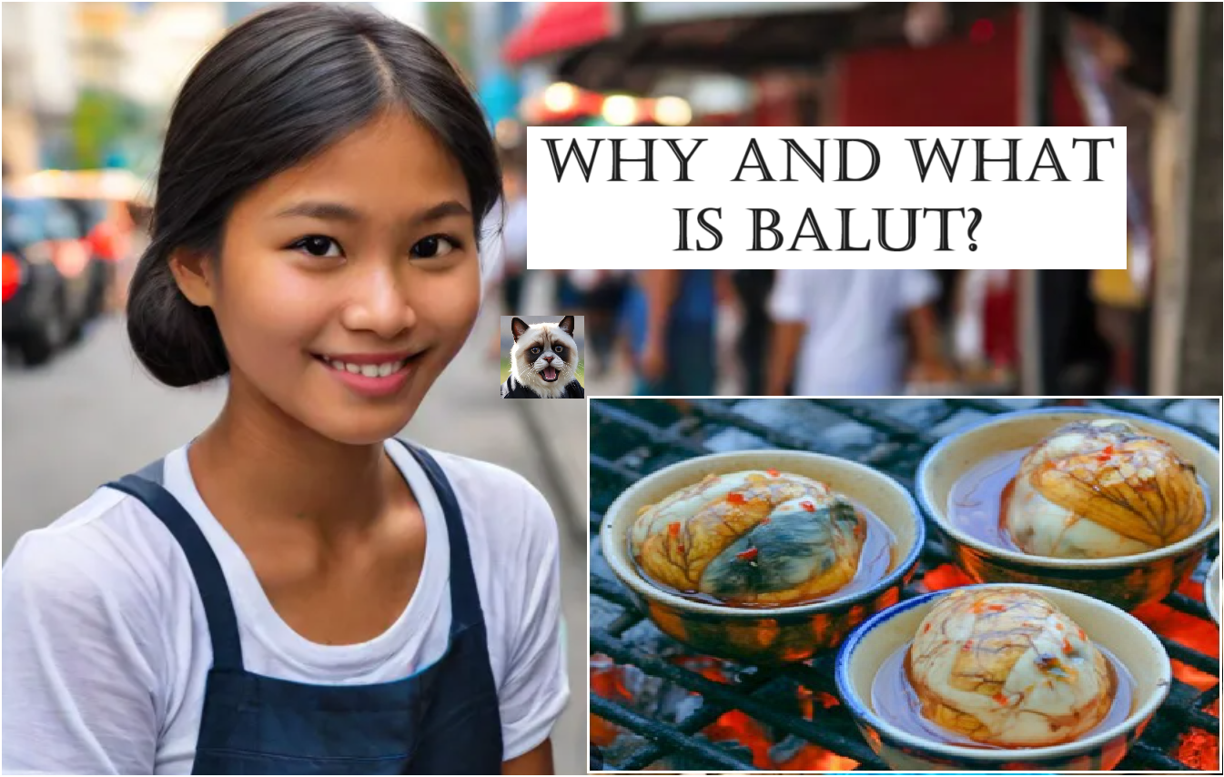 Balut Egg: History, Origin, Tradition, Taste, Recipe, Controversies ...
